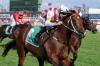 SKY’S THOROUGHBRED CENTRAL CHANNEL SET TO RACE - PubTIC