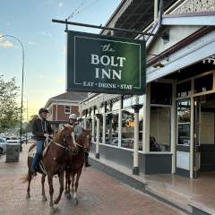 Bolt Inn Uralla frontage horses_cth2 - PubTIC