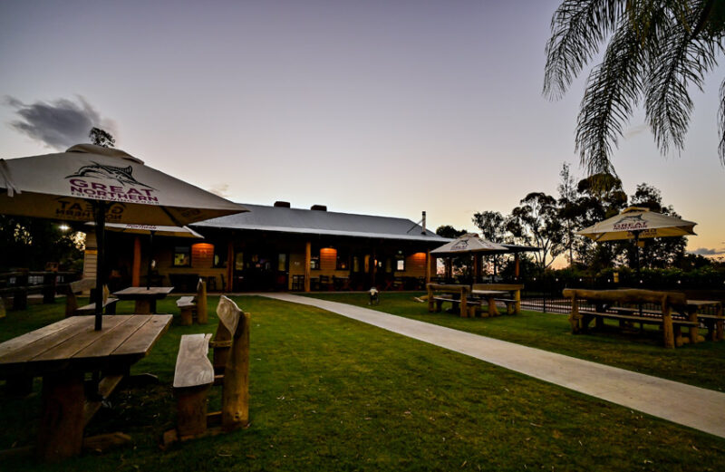 MUCKA BUP UP FOR GRABS - PubTIC